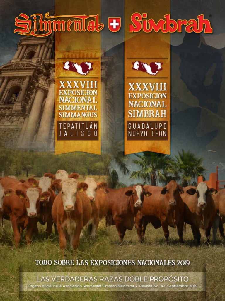 2019 Revista Simmental Simbrah Edicion 42 PDF | PDF