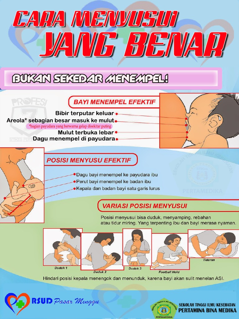 Poster Menyusui PDF | PDF