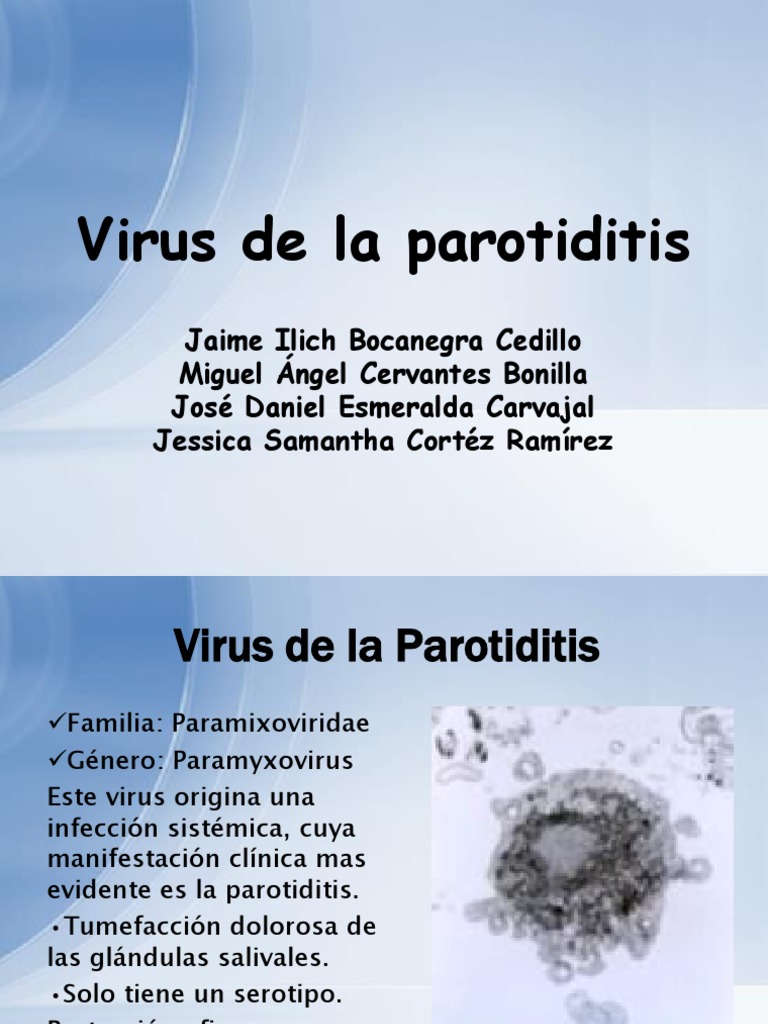 Virus de la Parotiditis: Características y Diagnóstico | PDF | Virus ...