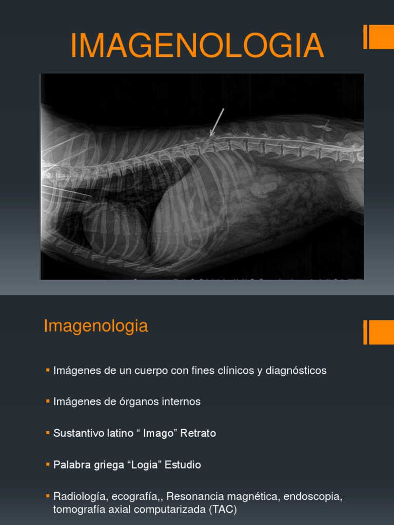 IMAGENOLOGIA | PDF | Rayo X | Ultrasonido médico
