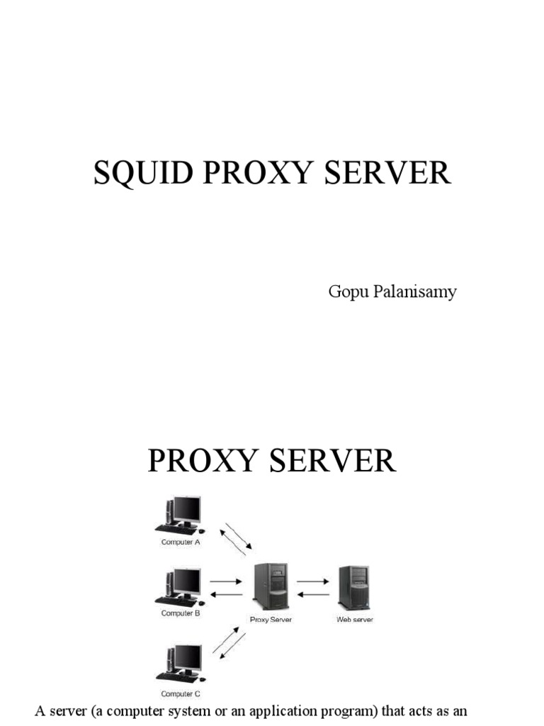 Set up a high-performance Squid caching proxy server | PDF | Proxy ...