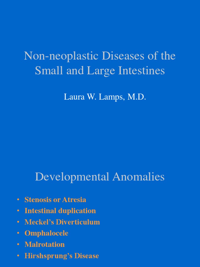 Non-Neoplastic Intestinal Diseases Overview | PDF | Ischemia | Diarrhea