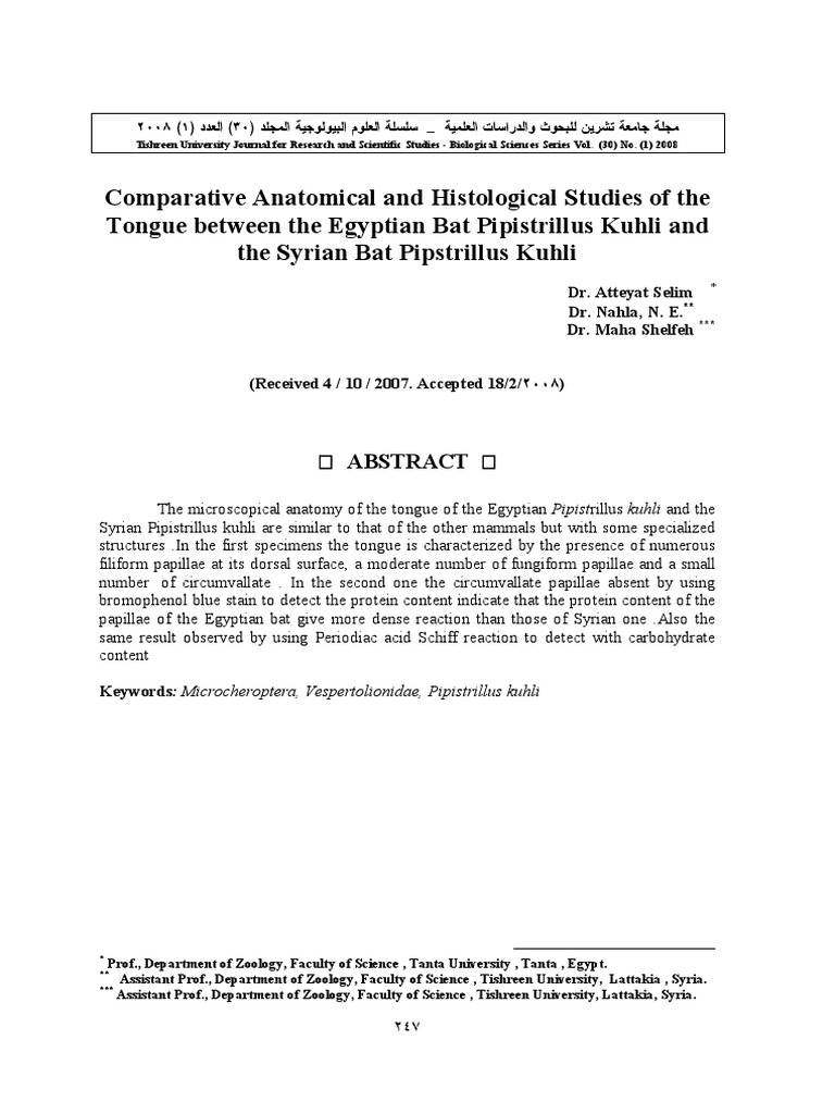 Comparative Anatomical and Histological Studies of The Tongue Between ...