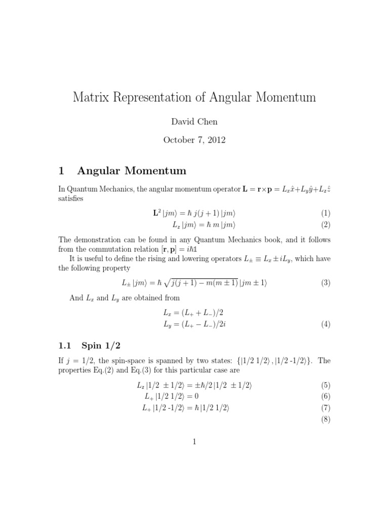 Matrix Representation of Angular Momentum | PDF | Spin (Physics ...