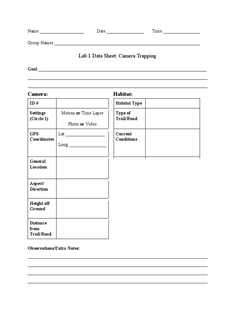 Esrm Lab Data Sheet | PDF | Business | Computers