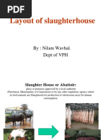 Modern Slaughter House Layout | PDF | Slaughterhouse | Animal Slaughter