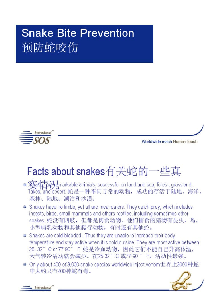 Snake Bite Prevention | PDF | Snake | Venom