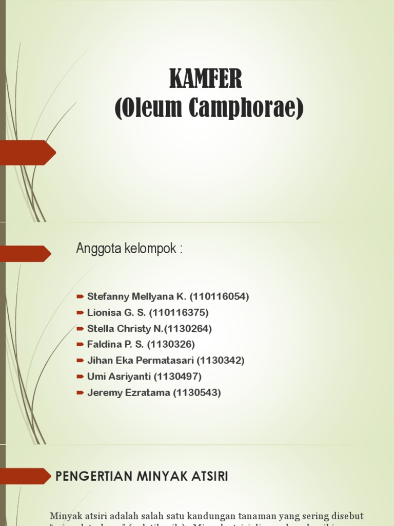 Kamfer | PDF | Kesehatan Holistik