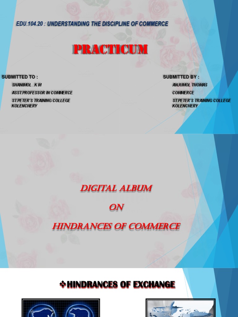Practicum: Edu.104.20: Understanding The Discipline of Commerce | PDF