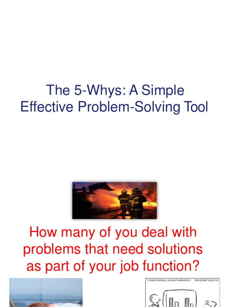 3L and 5 Why Presentation - MKG | PDF | Causality | Nature