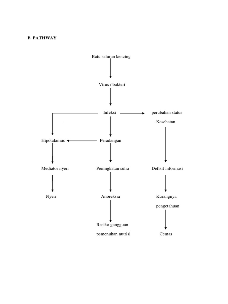 PATHWAY Colic Abdomen | PDF