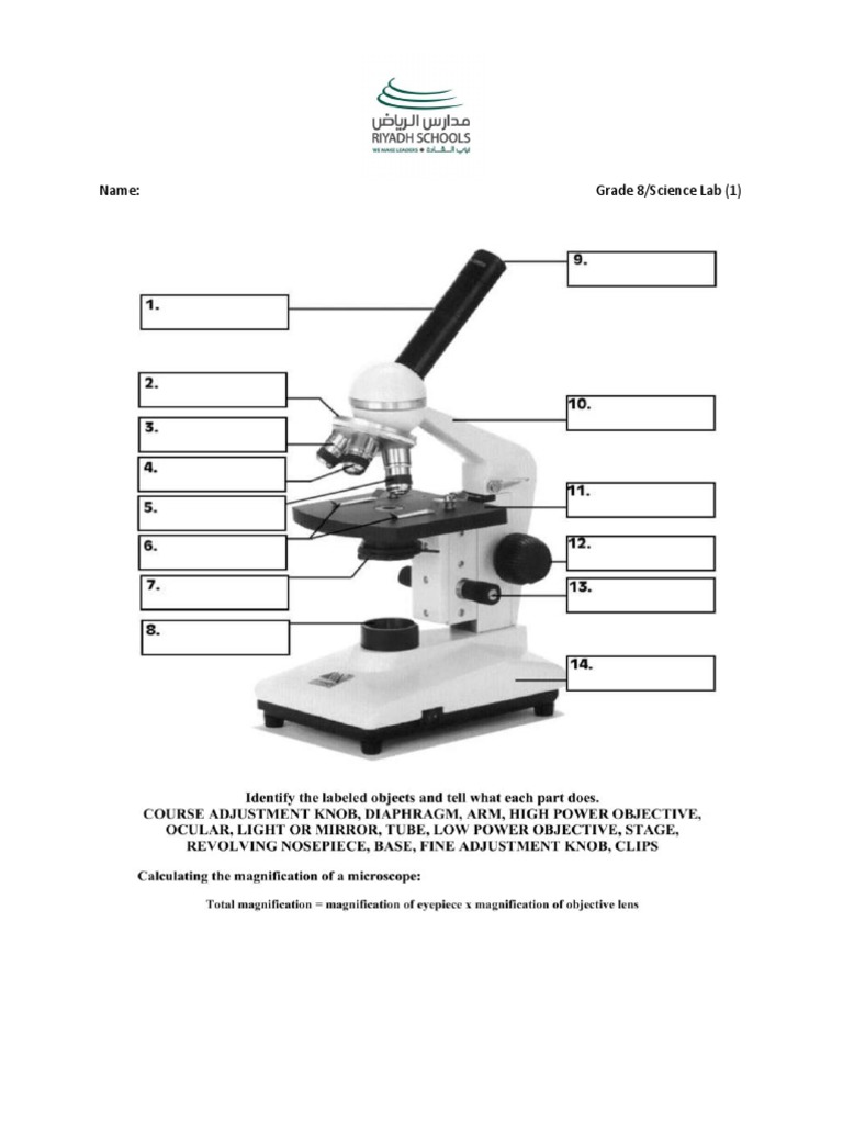 Name: Grade 8/science Lab | PDF