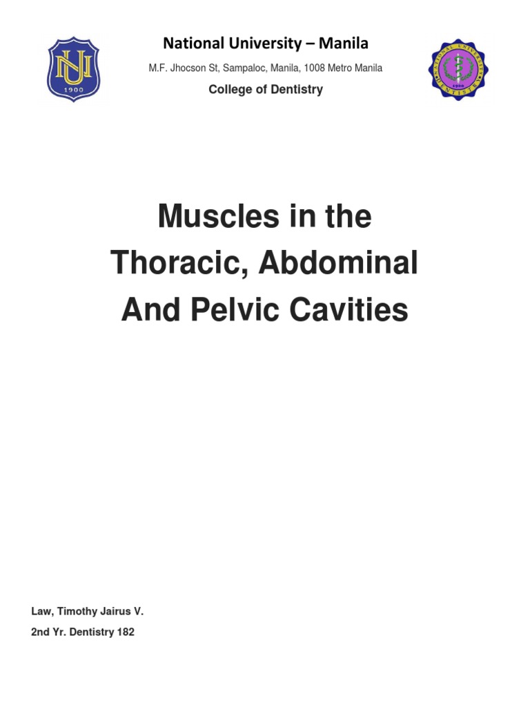 General Anatomy Research | PDF | Abdomen | Vertebra