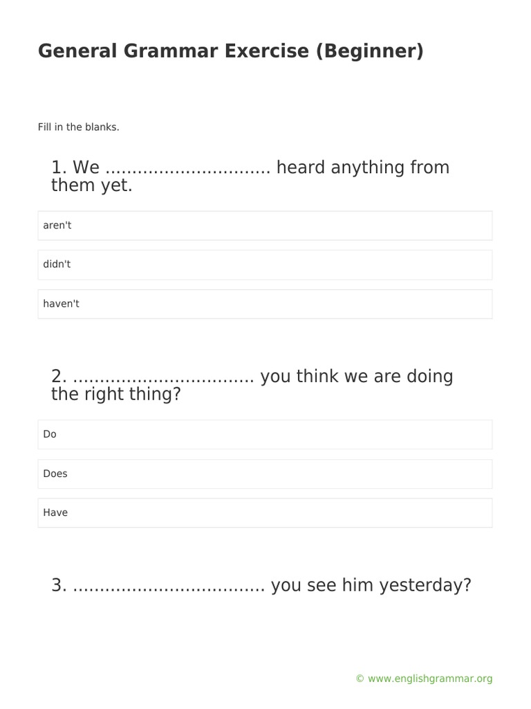 General Grammar Exercise (Beginner) | PDF