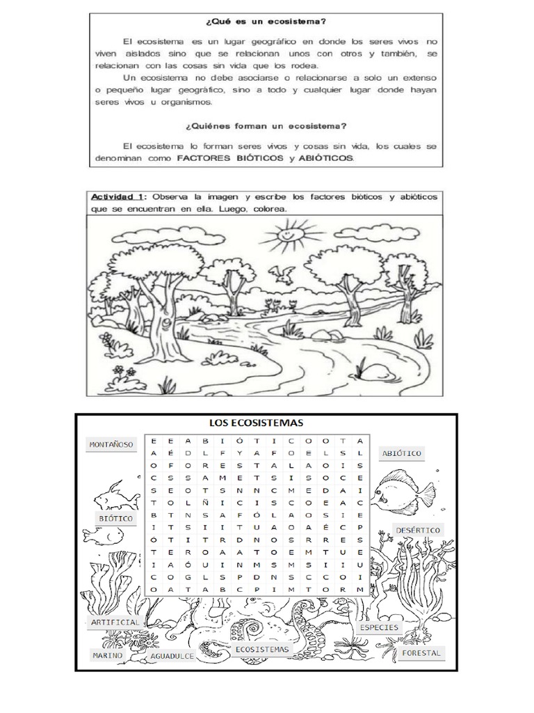 Guia Ecosistemas Quinto