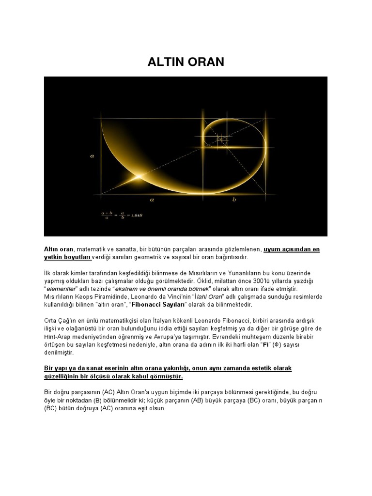Altin Oran | PDF