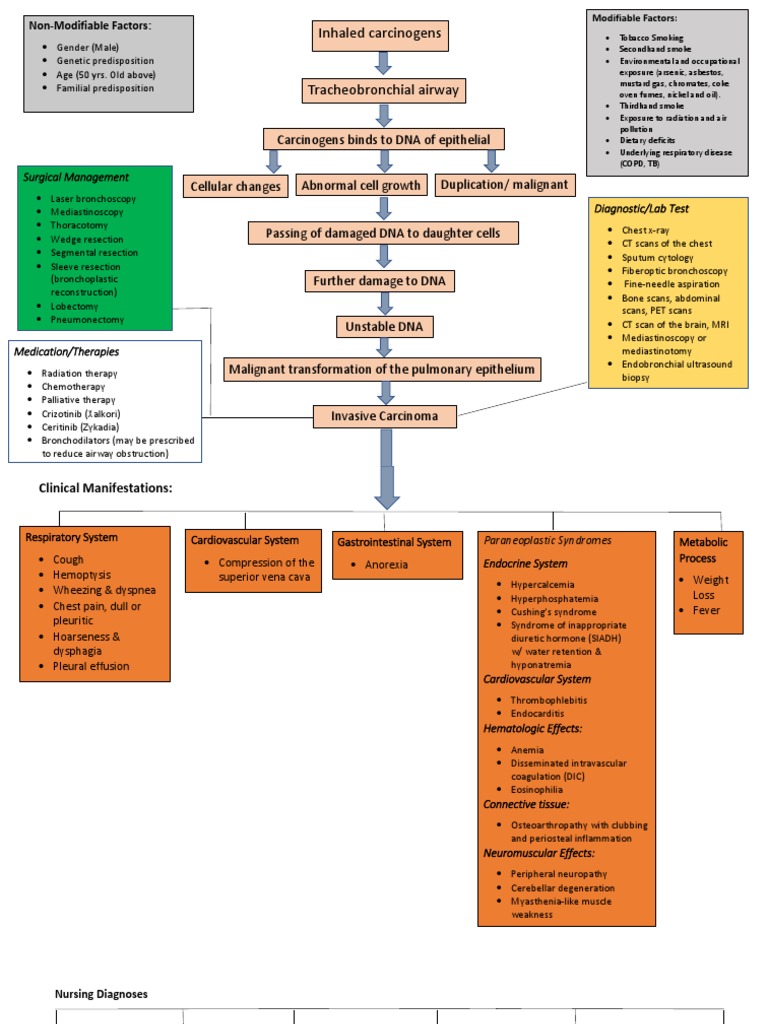 Final Lung Cancer Concept Map | PDF | Respiratory Tract | Cancer