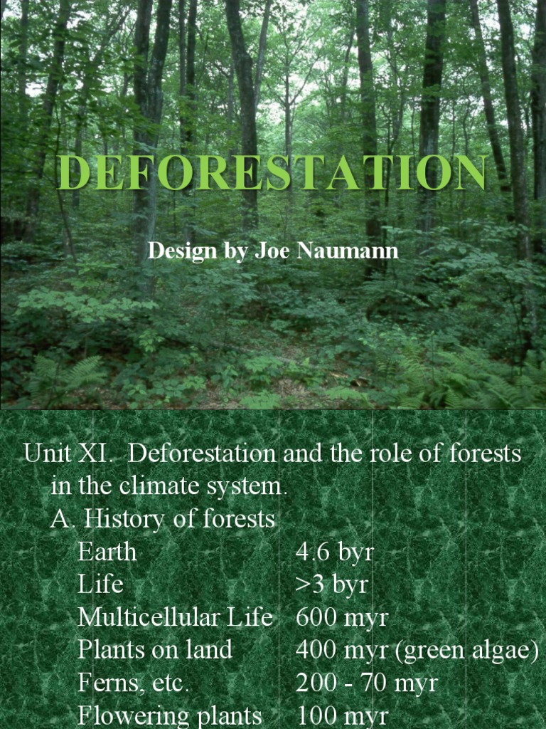 Unit10 Deforestation | PDF | Amazon Rainforest | Forests