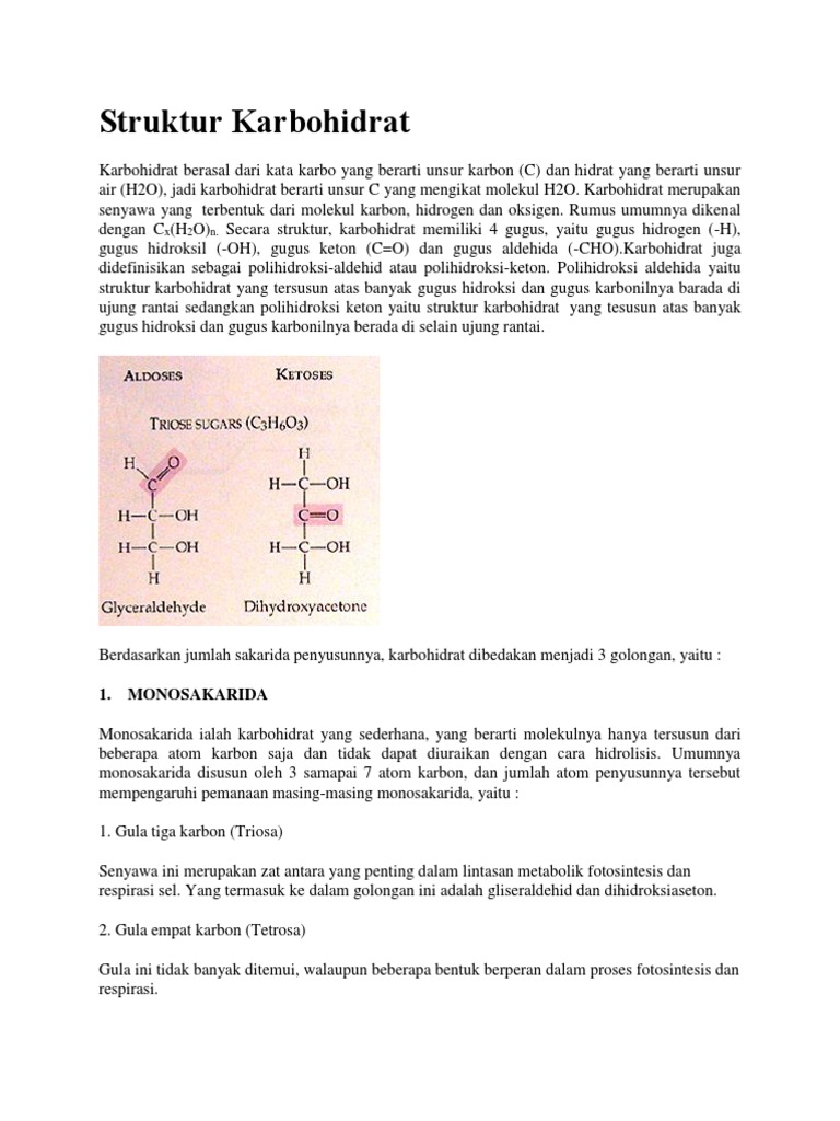 Struktur dan Klasifikasi Karbohidrat | PDF