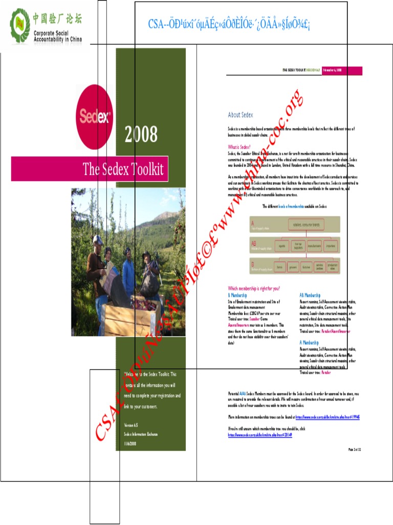 Sedex Tool Kit Sample China | PDF | Supply Chain | Retail