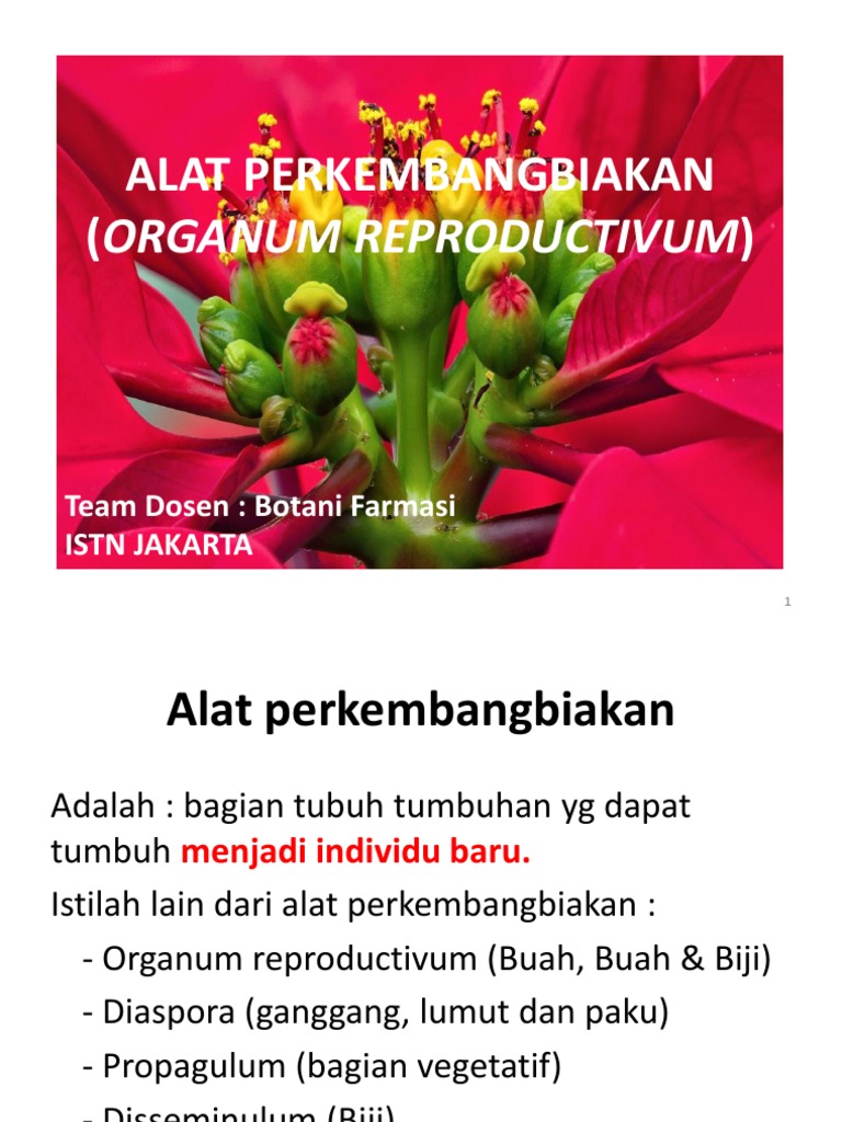 Alat Perkembangbiakan Bunga (Flos) | PDF