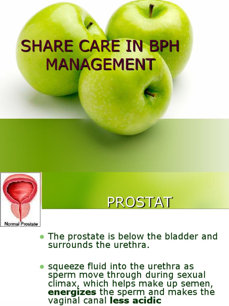 BPH Management and Treatment Options | PDF | Prostate | Urology