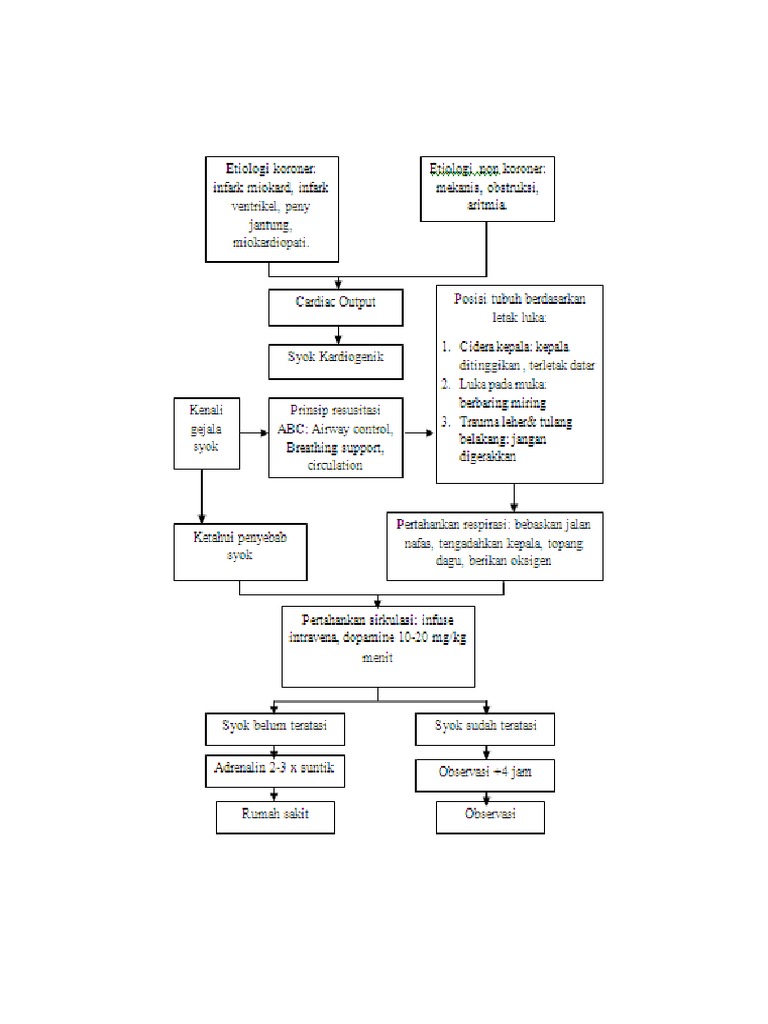 WOC Syok Kardiogenik | PDF