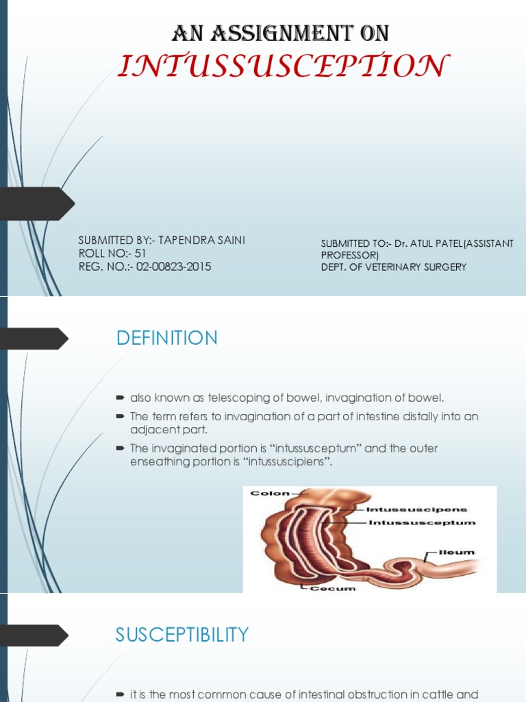 Intussusception: An Assignment On | PDF