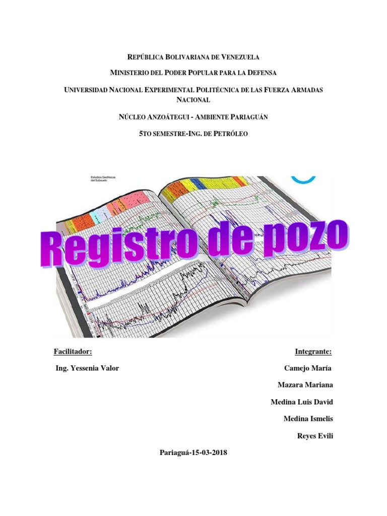 Registro de Pozo | PDF | Permeabilidad (Ciencias de la Tierra ...