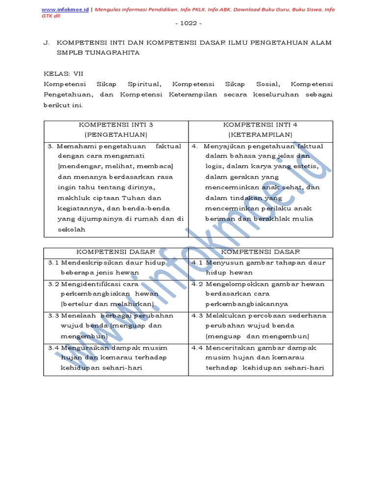 Ki-Kd Ipa SMPLB Tunagrahita - PKLK - Revw | PDF