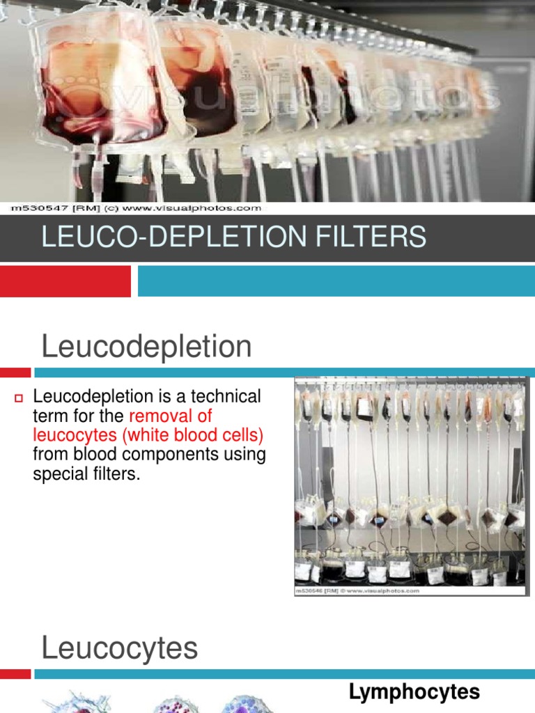 Leucodepletion Filter PDF | PDF | White Blood Cell | Platelet
