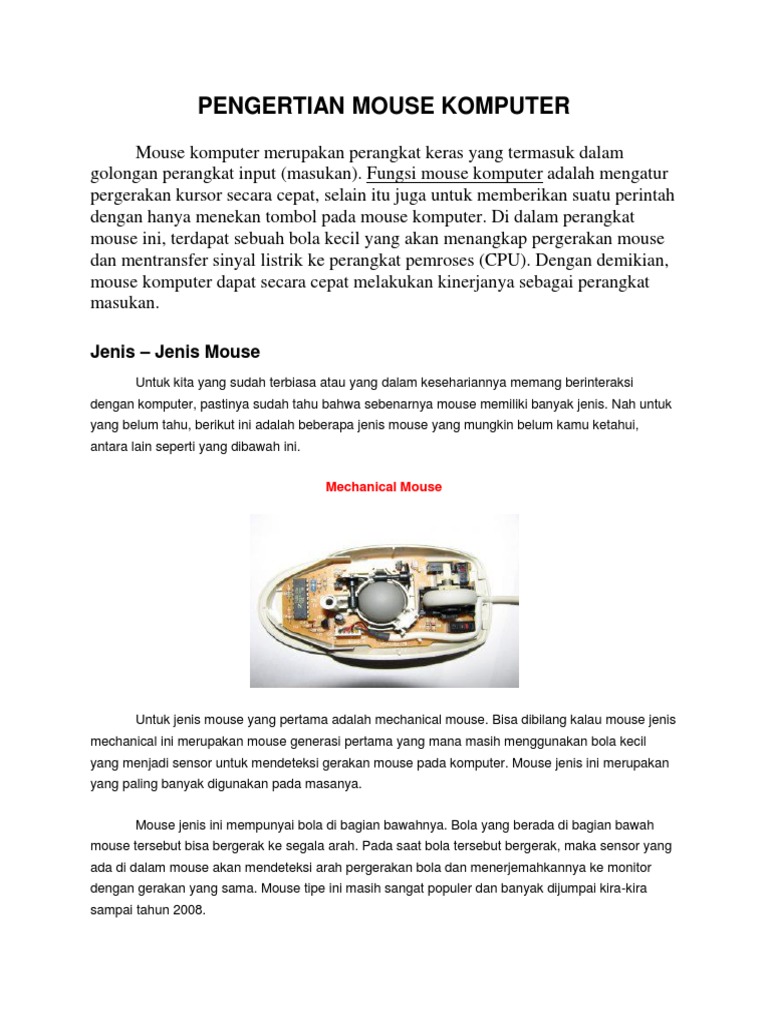 Pengertian dan Fungsi Mouse Komputer | PDF
