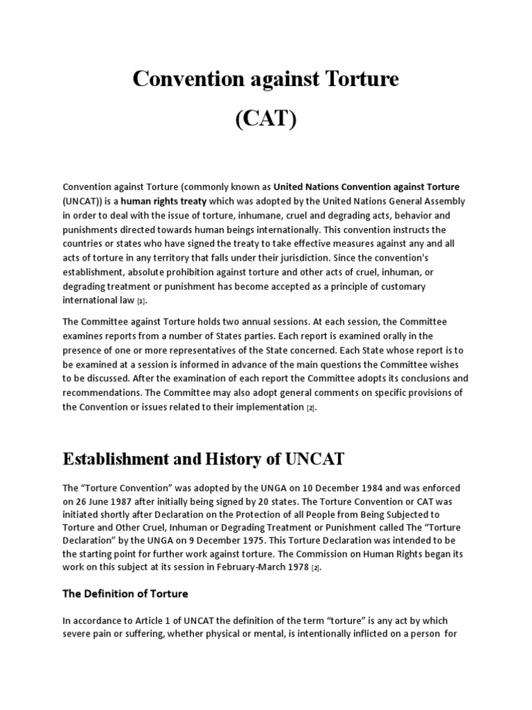 Convention Against Torture Download Free Pdf Torture Treaty