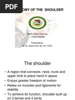 Patterns of PNF | PDF | Anatomical Terms Of Motion | Human Leg