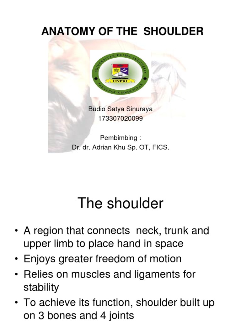 Anatomy Shoulder | PDF | Shoulder | Soft Tissue