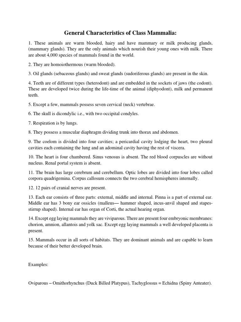 Animal Kingdom Notes | PDF | Implantation (Human Embryo) | Uterus