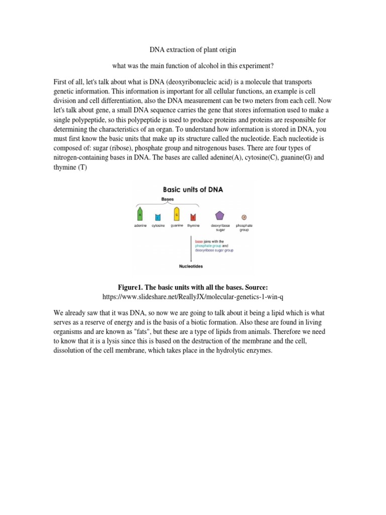 Plant DNA Extraction Basics | PDF
