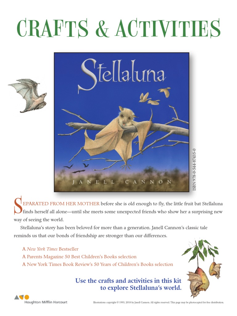 Stellaluna Kit | PDF | Bat | Organisms