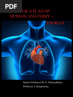 Thorax Anatomy Diagrams Overview | PDF