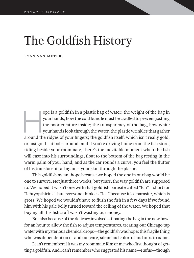 The Goldfish History: Essay / Memoir | PDF