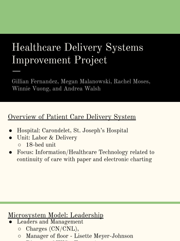 Healthcare Delivery Systems Improvement Project | PDF | Health Care ...