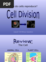 Mitosis and The Cell Cycle - Cell Division - AQA - GCSE Biology (Single ...