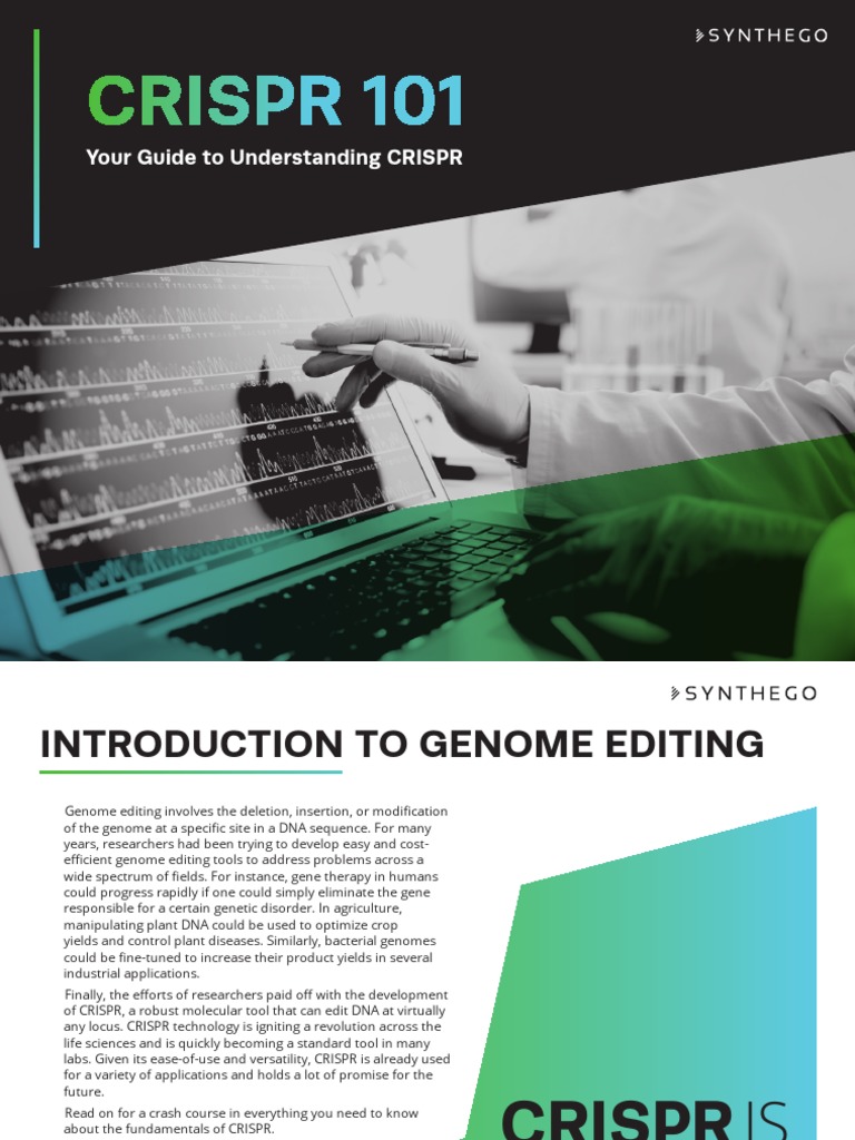 Crispr 101: Your Guide To Understanding CRISPR | PDF | Gene Knockout ...