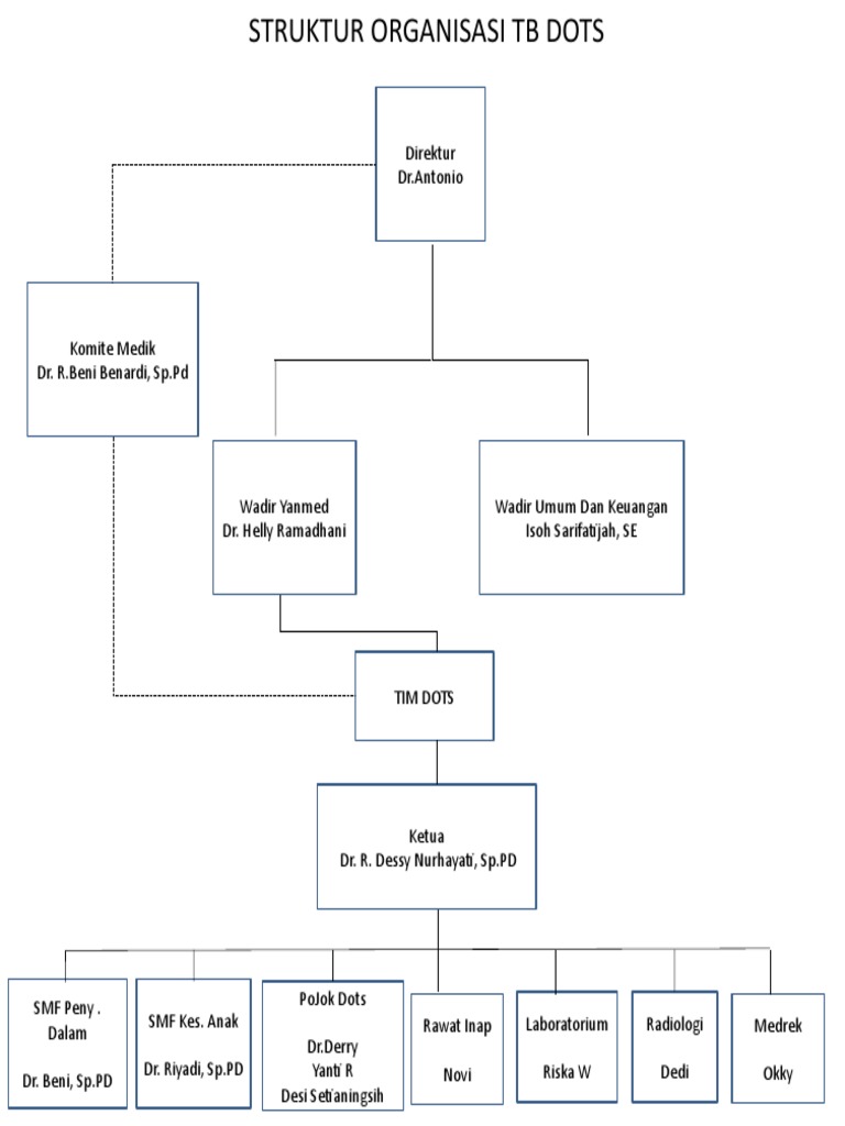 Struktur Organisasi TB Dots | PDF