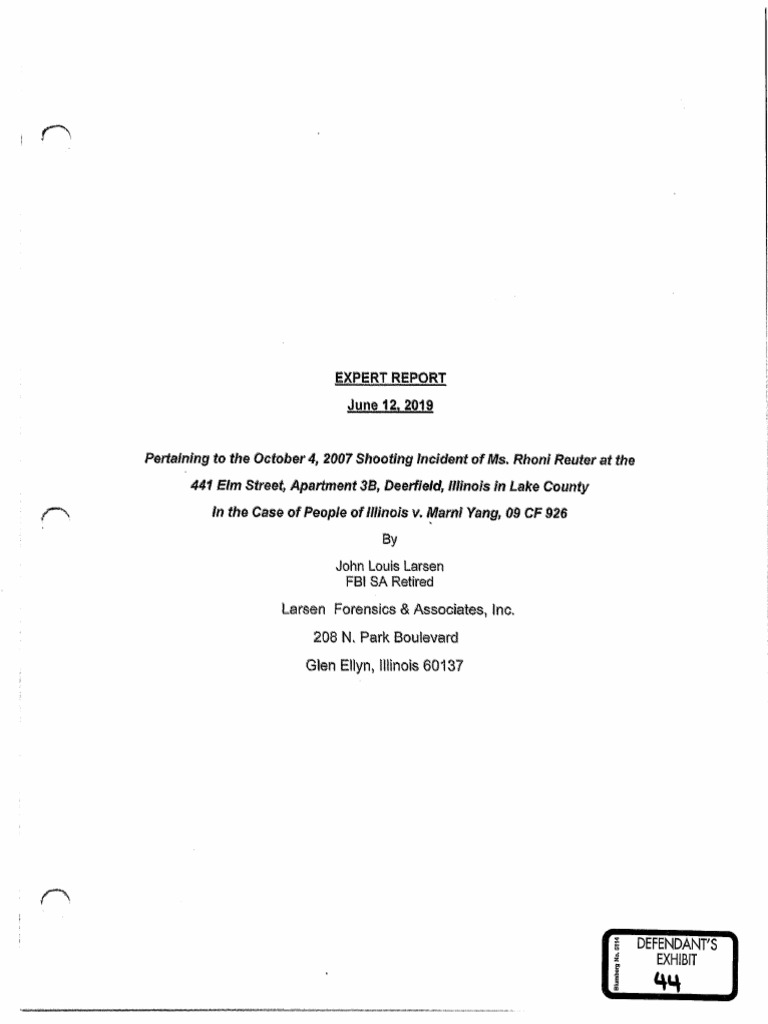 John Larsen - Marni Yang Post-Conviction Petition Exhibit | PDF ...