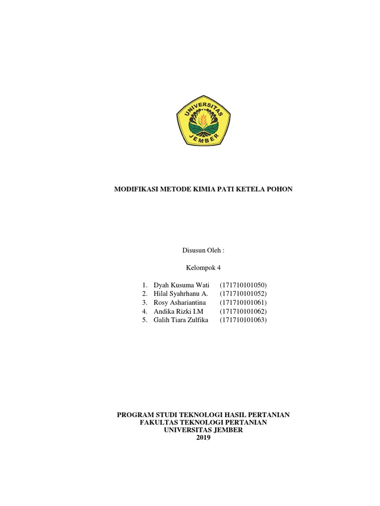 Modifikasi Kimia Pati Singkong | PDF