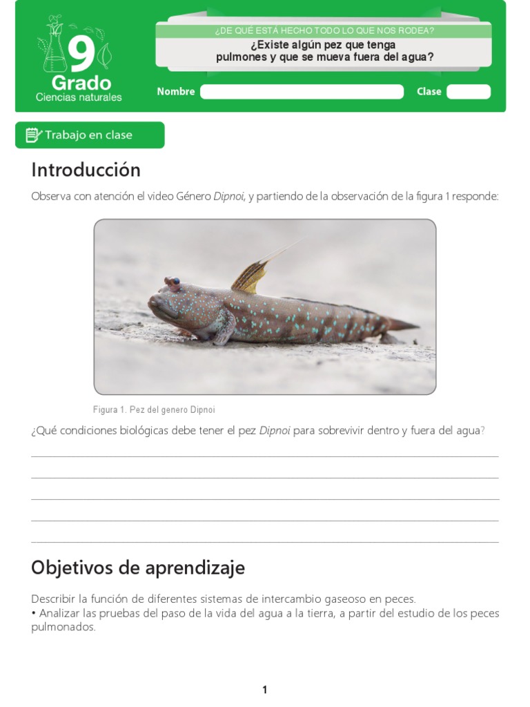 Los Peces Pulmonados | PDF | Pescado | Branquia