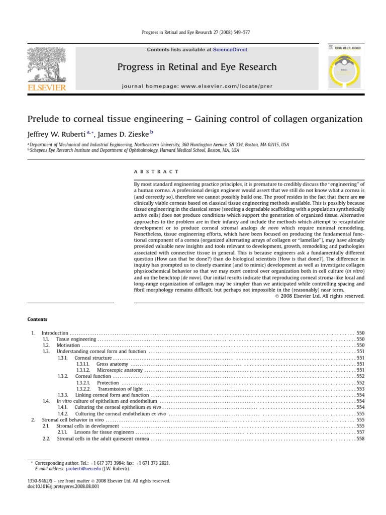 Corneal Tissue Engineering Insights | PDF | Cornea | Epithelium