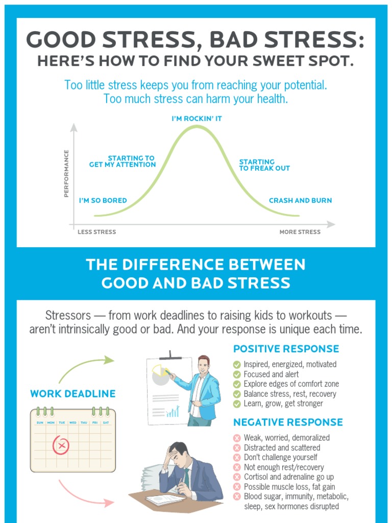 Good Stress, Bad Stress:: Here'S How To Find Your Sweet Spot | PDF ...