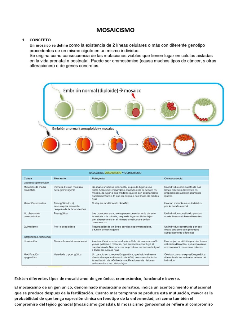 MOSAICISMO Imprimir | PDF | Mitosis | Mutación
